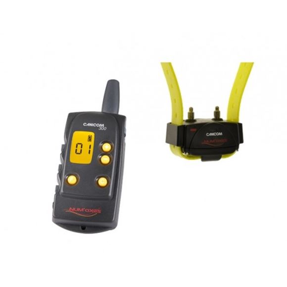 In-Namra. CANICOM 300